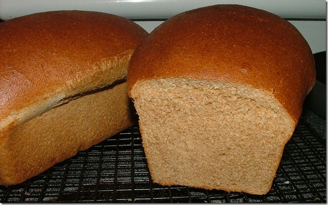 Baking And Boys!: Blessed Bread, No Knead Bread and Honey Whole Wheat Bread
